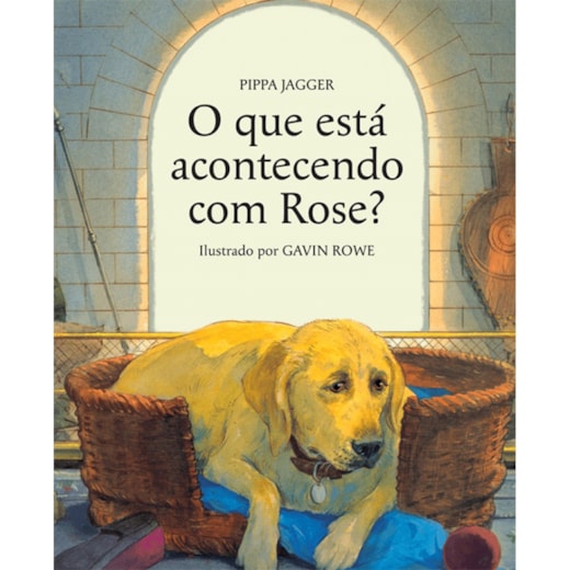 Livro Literatura Infantil O Que Está Acontecendo Com Rose Ciranda